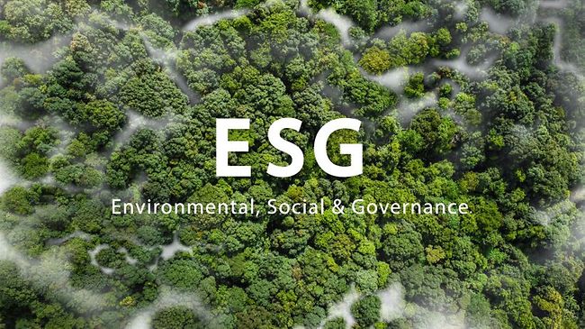 ESG – Definition und Bedeutung für Unternehmen und Investoren ...