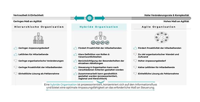 Hybride Organisation in der Finanzorganisation | Controlling | Haufe